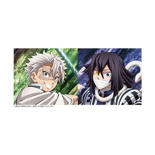 カラーバリエーションなし/-/-・BVCL-1410