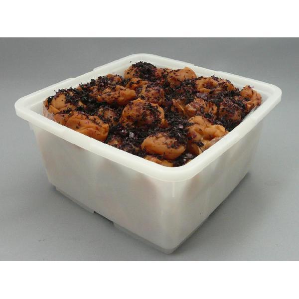 紀州南高梅・みかん蜂蜜使用作業工程で樽の底で形のくずれた梅干しを国産の「蜂蜜」と「紫蘇」と「鰹節」でじっくり熟成させました。見た目だけで、お味は正規品と変わりません。自家農園栽培の紀州南高梅を使用した、長生き屋商店こだわりのかつお梅干しをお...