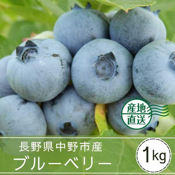 周囲を2000m前後の山々に囲まれた中野市は美味しい果物の名産地。当センターのブルーベリーは大粒で農薬は不使用で栽培されており安心して高原の味を味わっていただけます。生食はもちろんアイスなどのトッピング、ジャムなど様々にご利用できます。届き...