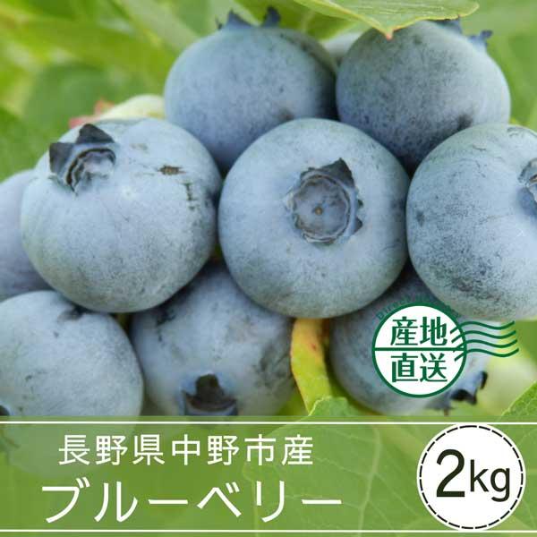 周囲を2000m前後の山々に囲まれた中野市は美味しい果物の名産地。当センターのブルーベリーは大粒で農薬は不使用で栽培されており安心して高原の味を味わっていただけます。生食はもちろんアイスなどのトッピング、ジャムなど様々にご利用できます。届き...