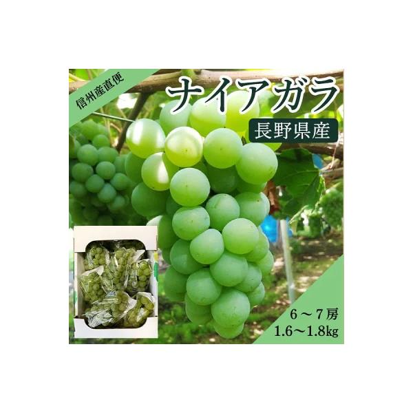 ぶどうの産地である長野県塩尻市桔梗ヶ原産のナイアガラです。桔梗ヶ原は100年を超える老舗ワイナリーもあり、長野県内では一番古くからワイン造りをしてきた地域です。ナイアガラは皮が緑〜黄緑色で、芳醇な甘い香りが特徴です。甘めのワインがお好きな方...