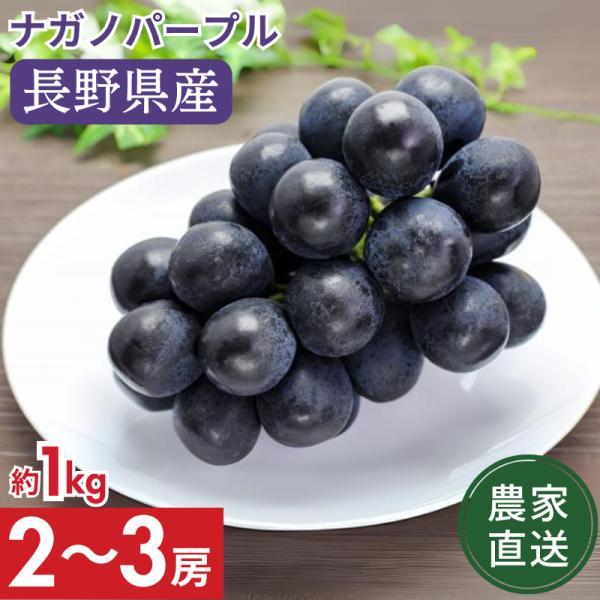 【ナガノパープル】「巨峰」と「リザマート」をかけ合わせて長野県で生まれた希少なぶどう。種がなく、皮まで食べられるのが特徴です。甘めでさわやか、上品な味です。※ご自宅向けの簡易包装にてお送りします。※天候などにより稀に種が入る場合があります。...