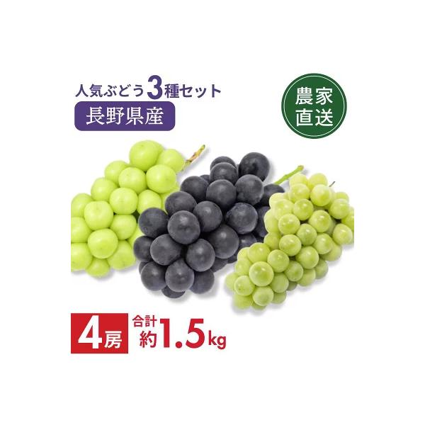 大人気の「シャインマスカット」、希少な「ナガノパープル」、そして芳醇な香りが特徴の「ナイアガラ」の3種セットです。    【ナイアガラ】    ぶどうの産地である長野県塩尻市桔梗ヶ原産のナイアガラです。    ナイアガラは皮が緑〜黄緑色で、...