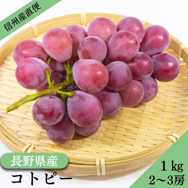 【コトピー】コトピーぶどうは甲斐乙女×シャインマスカットを掛け合わせて生まれた皮ごと食べられる種なし赤ブドウ。美しい鮮紅色品種でありシャインマスカットの強い甘みと甲斐乙女の爽やかな風味が絶妙で果汁が多くさっぱりとした後味です。※ご自宅向けの...