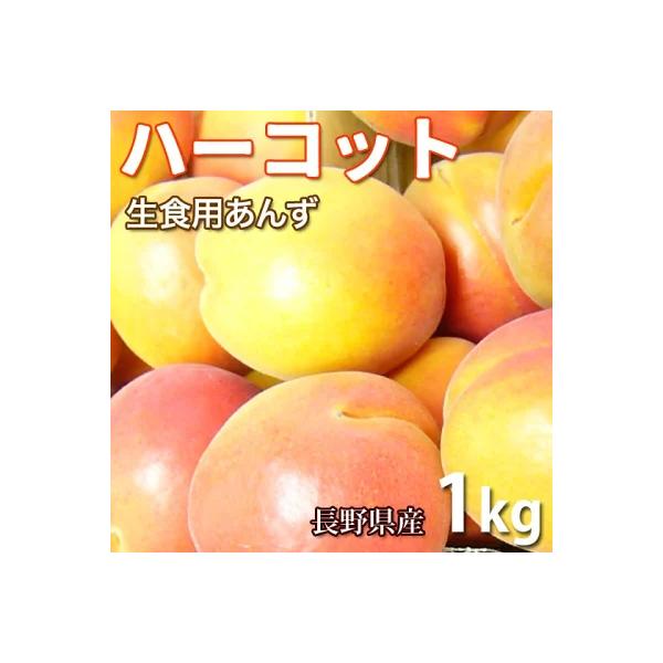 ■「ハーコット」あんず　生食用 信州産　１キロ長野県千曲市周辺は全国的に有名な「あんず生産地」。 生食用あんず「ハーコット」は酸味が少なく、甘いので大変食べやすく人気のあんずです。 丸かじりでがぶりと、甘酸っぱい食感をぜひ味わってください。...