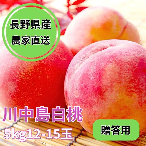 川中島 白桃　秀品（家庭用） 5kg 18-20玉入り川中島白桃 最初硬めで熟すとトロリ柔らかくなります♪硬めが好み、柔らか目が好み、お好みのタイミングで食してください！桃の名産地、長野は、寒暖の差が激しく、厳しい気候環境が”桃”の栽培に適...