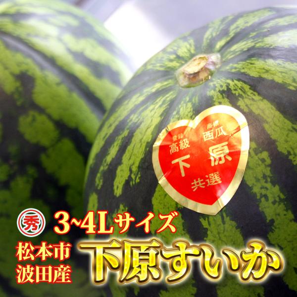 長野県松本市の波田地区・下原地区は、梓川の豊かな水と、内陸性気候がもたらす大きな昼夜の寒暖差により、全国にその名を知られるすいかの名産地です。この恵まれた自然環境のもとで丹念に育てられた「下原すいか」は、果肉のきめ細やかな甘さとみずみずしい...