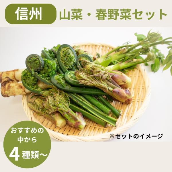 長野県の豊かな自然に育まれた、春ならではの山菜と旬の野菜を詰め合わせた季節限定のセットです。雪解けの大地から芽吹く山菜は、ほろ苦さとみずみずしさが特徴で、信州の春の訪れを感じさせてくれます。ふきのとうやこごみ、タラの芽など、その時期に最もお...