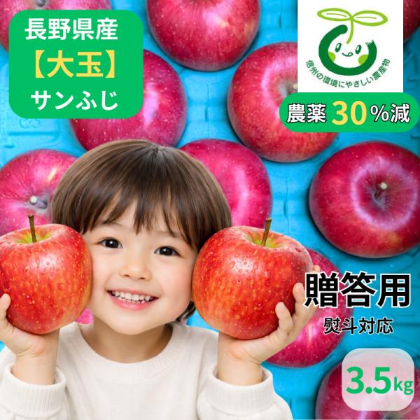 長野県諏訪市の島崎農園で育てられた、大玉サイズのサンふじりんごです。長野県の「環境にやさしい農産物」に登録され、農薬使用量を慣行栽培より30％削減するなど、自然環境と人に配慮した栽培方法で丁寧に育てられています。一玉一玉が食べ応えのある大き...