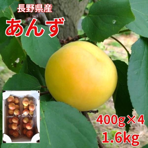 長野県長野市松代町の相沢農園から、加工用に厳選したあんずをお届けします。寒暖差の大きい信州の気候は果樹栽培に適しており、一粒一粒丁寧に育てられたあんずは、加工用ならではの程よい酸味と豊かな香りが特徴です。ジャムやシロップ漬け、果実酒、コンポ...