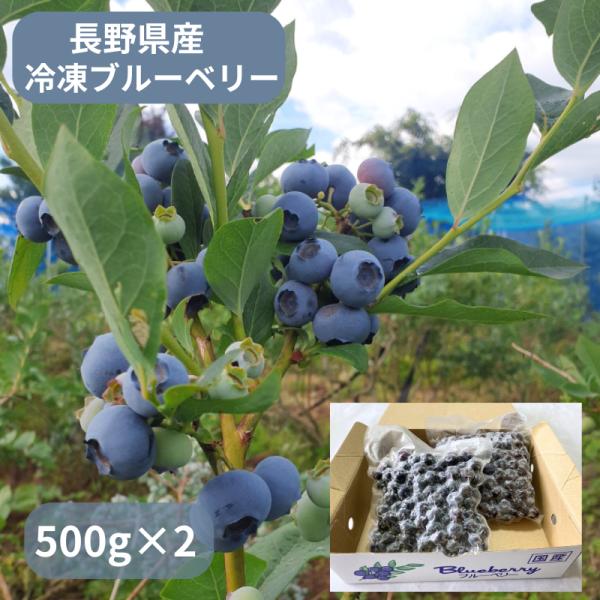 北アルプス・上高地のふもとで、清らかな水と冷涼な気候に育まれた完熟ブルーベリーを、鮮度そのままに急速冷凍しました。旬に摘み取った実の甘みと爽やかな酸味を、一年を通してお楽しみいただけます。凍ったままつまめばシャーベットのような口当たり。ヨー...
