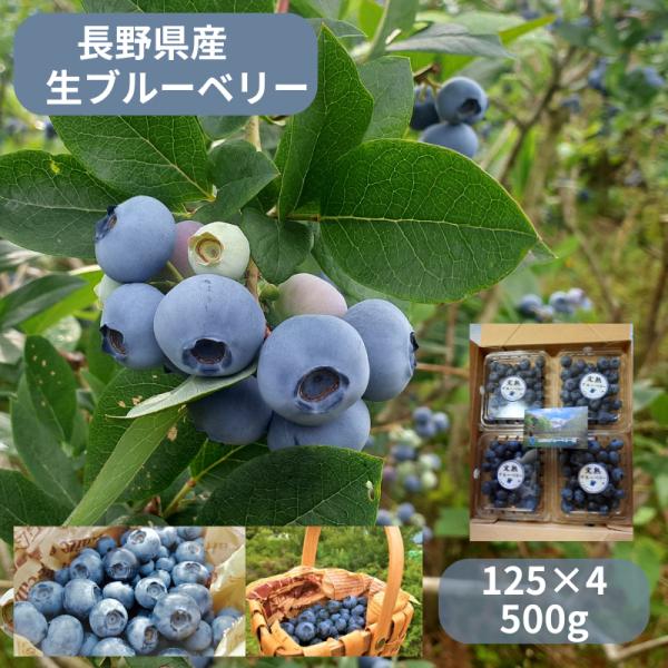 北アルプスの玄関口・上高地のふもと、清らかな水と冷涼な気候に育まれた「上高地ブルーベリー園」の生ブルーベリーです。昼夜の寒暖差がしっかりのった土地で完熟を待って摘み取るため、甘みと爽やかな酸味のバランスがよく、果実本来のみずみずしい風味が楽...