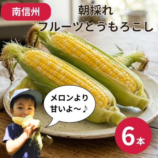 南信州の標高800mに位置する寒暖差の大きな畑で育った、甘味たっぷりの「朝採りフルーツとうもろこし」です。農園では、最もおいしい状態で長くお届けできるよう、時期をずらして何度も種をまいています。収穫時期を迎えた夜明け前の畑は、穂のほのかな香...
