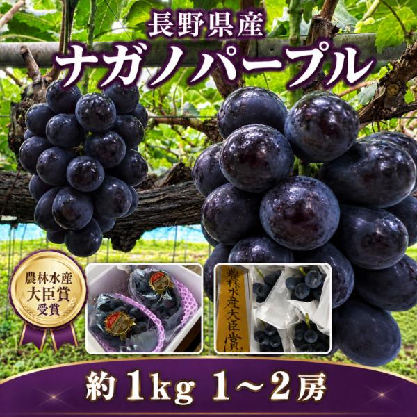 長野県須坂市でナガノパープルを育てる「中村農園」。この農園には、ちょっと驚くようなエピソードがあります。ナガノパープルへの愛が強すぎるあまり、農家さん自身が“ナガノパープルの歌”を作ってしまったのです。「もっと美味しく育ってほしい」「このぶ...