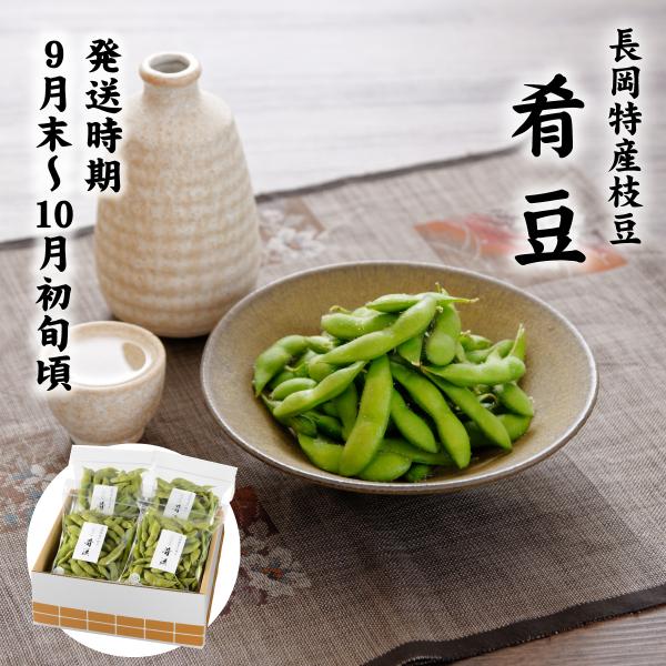 ★枝豆最終便！長岡特産枝豆「肴豆１ｋｇ入」★ご予約承り中！昭和45年頃から長岡市の王番田(おうばでん)地域を中心に栽培されている枝豆。ゆでると香りと甘みが良く、酒の肴に合うとして「肴豆」と呼ばれるようになったとか。さやが三日月のような形で実...