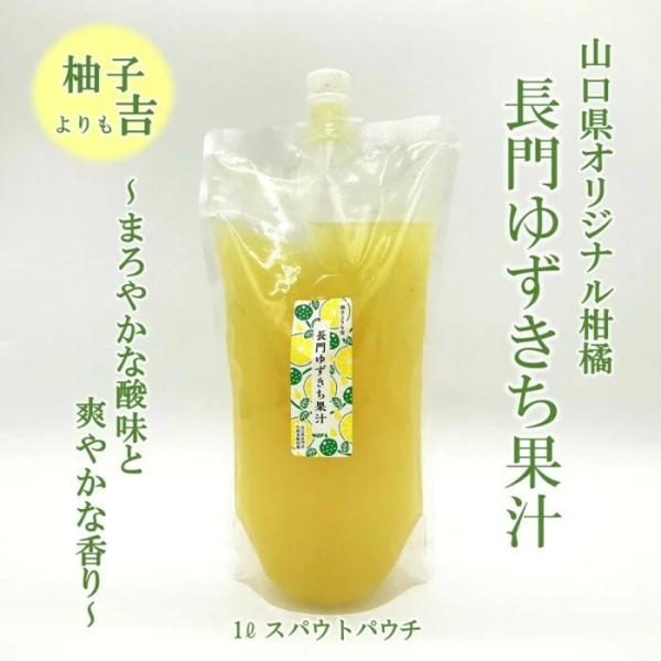 ８月から10月上旬頃までの果実を搾汁したスッキリとした酸味が特徴の「青」山口県産オリジナル柑橘である「長門ゆずきち」の果汁を丁寧に絞り、使いやすいスパウトパウチに詰めました。お酒に入れたり、お料理に使用したりと使い方は無限大です。ぜひ、長門...