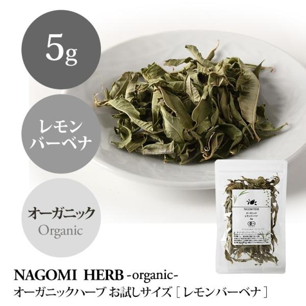 【特徴】アンデス地方原産の低木で、種小名のキトリオドラは”レモンの香りのする”という意味です。18世紀、スペインの探検隊がチリから持ち帰り、その香りの良さに大流行しました。フランスでは「ベルベーヌ」という名前でカフェの定番メニューとなってい...