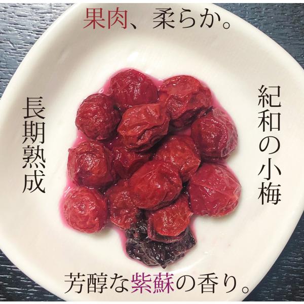 天塩で塩漬けした後土用干しを行い、再び、無農薬・無消毒の紫蘇をふんだんに使用して漬けた、芳香で味わい深い本物の小梅干です。小梅は大梅と比べて、収穫・洗浄・漬け込みなどに手間暇がかかります。特に収穫時の手間は、通常の梅干しの3倍以上かかります...