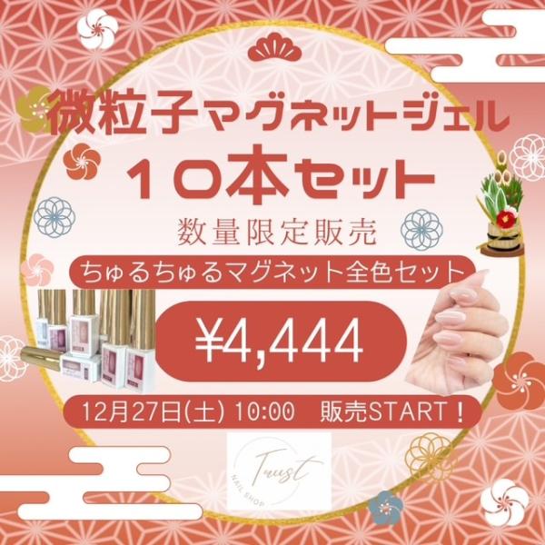 お正月限定超お得なセット！！！【１０色セット】微粒子マグネットジェル　マグネットジェル　オフィスネイルカラー　うるツヤ　うるうる　プルプル　艶カラー　超微粒子やわらかめなカラーから大人なカラーまで、肌なじみが良く手が綺麗に見えるカラー全１０...