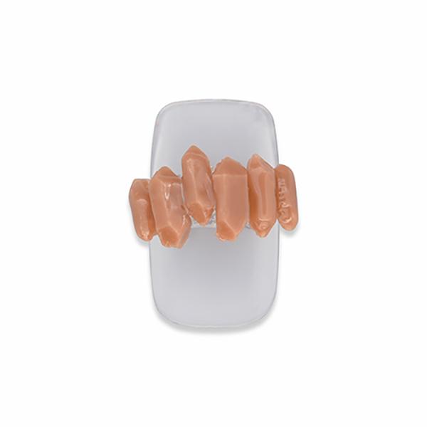 COLORS NAIL/FanFan先生のプロデュースで誕生した、カラフルキュートなnendo gel。手の感覚で形が作れ3Dジェル。筆では出せない立体感を楽しめます。厚みを出しても硬化熱を感じません。ひも状にしたジェルを仮硬化する事で、結...