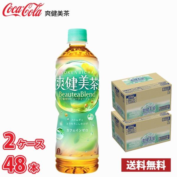 ※北海道は別途700円、沖縄県配送不可内容量：600mlペットボトル48本