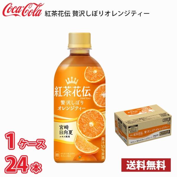 ※北海道別途700円、沖縄県配送不可内容量　440ml ペット入数　24本賞味期限　メーカー製造日より6ヶ月保存方法　高温・直射日光をさけてください。製造者　コカ・コーラ カスタマーマーケティング株式会社