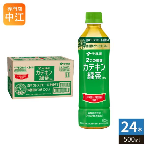 【送料無料／一部地域除く】【一個あたり 193円（税込）】「血中コレステロールを減らす」「体脂肪がつきにくい」2つの働きがある特保の緑茶飲料です。茶カテキン197mg(500ml当たり)が含まれています。1日2本、食事の際に1本を目安にお飲...