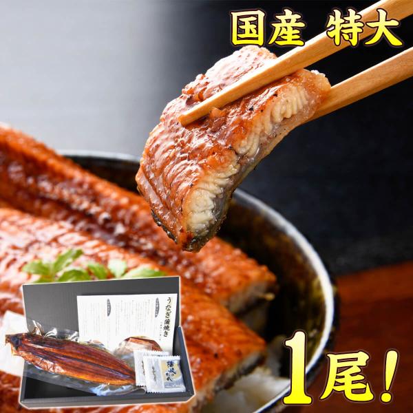 ふっくら肉厚、脂のり抜群な国産うなぎの蒲焼きメガサイズ！【内容量：うなぎ蒲焼き約200g/1尾、蒲焼たれ(山椒付き)2個】【配送方法：クール冷凍便】【保存方法：要冷凍(-18℃以下で保存して下さい。)】名称:うなぎ蒲焼き(有頭)原材料名:う...