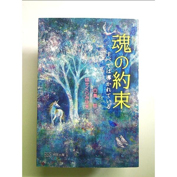 ◇商品状態：中古A  コンディション説明：帯なしです。カバーに軽度のスレキズあり。本文書き込みありません。紙面良好。迅速丁寧に発送いたします。    検品参考コンディション  A：とても綺麗な状態、多少のヤケ  B：綺麗な状態、多少の書き込...