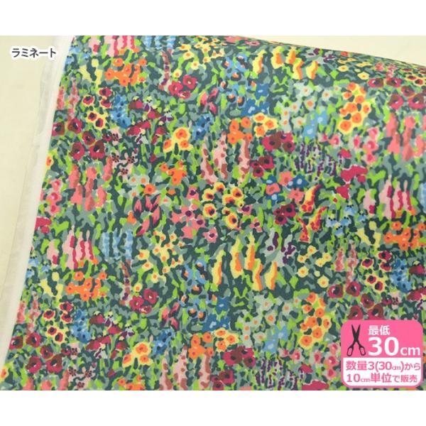 表示価格は10cmのものです。つや消しラミネート加工生地です。ネコポス便では折り目がつく場合がございます。※巻きの状態で発送をご希望される場合は宅配便となります。配送方法を選択肢からお選びいただくかご注文の際の備考欄にお書き添え下さいませ。...