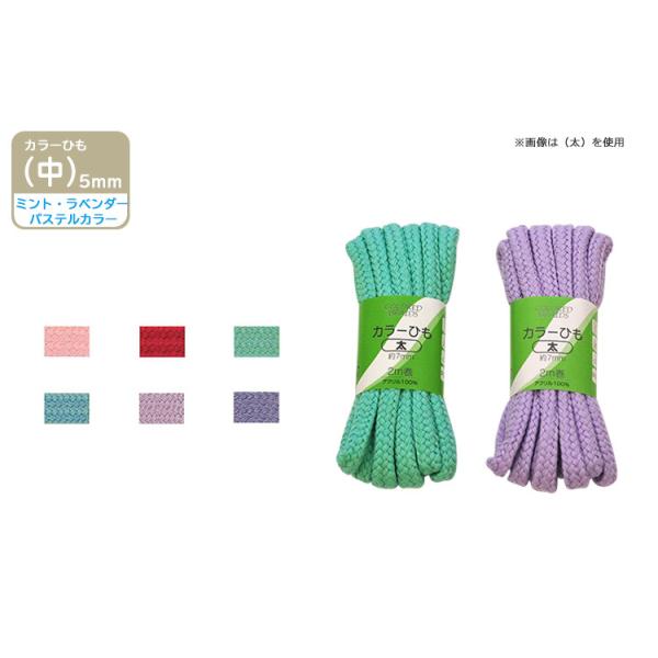 【NEW】サンコッコー カラーひも パステルカラー 中（2.5m巻）【洋裁材料】【巾着のヒモ】【入園入学用品の手づくりに】巾着やバッグ、インテリアなどいろいろなシーンに使えるカラーひもに淡い色味のパステル調が新登場！こちらは中（φ約5mm）...
