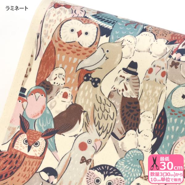 フクロウやインコ、シマエナガなどの鳥がギュッと詰まったデザインをラミネート加工しました。蝶ネクタイをつけたハシビロコウもいますね。●この生地は商用利用可能です。素材：綿100％/オックスラミネート(つや消し)/規格：約107cm巾/柄送り：...