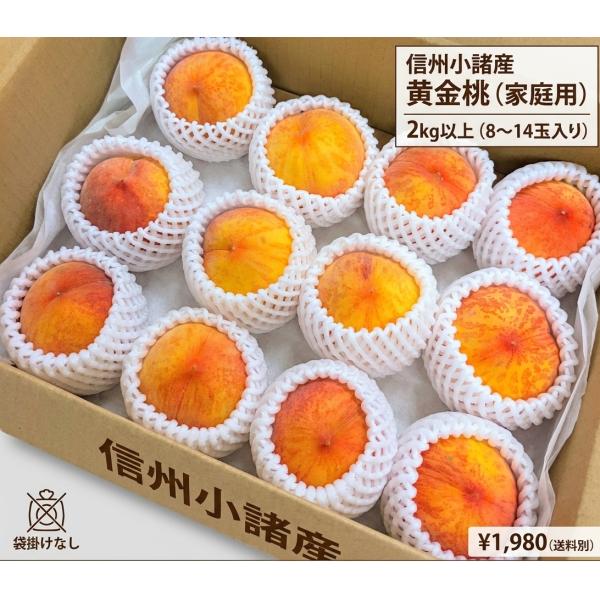 無袋栽培ならではの濃厚な味わい】信州小諸産 黄金桃（家庭用・2kg以上）太陽をたっぷり浴びて育った、甘みと香りが凝縮された信州小諸産の「袋掛けなし（無袋）黄金桃」をお届けします！一般的に傷を防ぐために袋を掛けて育てられる黄金桃ですが、あえて...