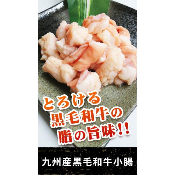 九州産黒毛和牛、小腸を、と蓄後その日の内に、500ｇにて、冷蔵発送致します。やわらかい皮、とろける黒毛和牛の脂の旨味。冷凍は一切せずに、と蓄後、即冷蔵発送だから鮮度抜群。もつ鍋に使用しても、最高の出汁が出ます。商品名：九州産黒毛和牛　小腸内...