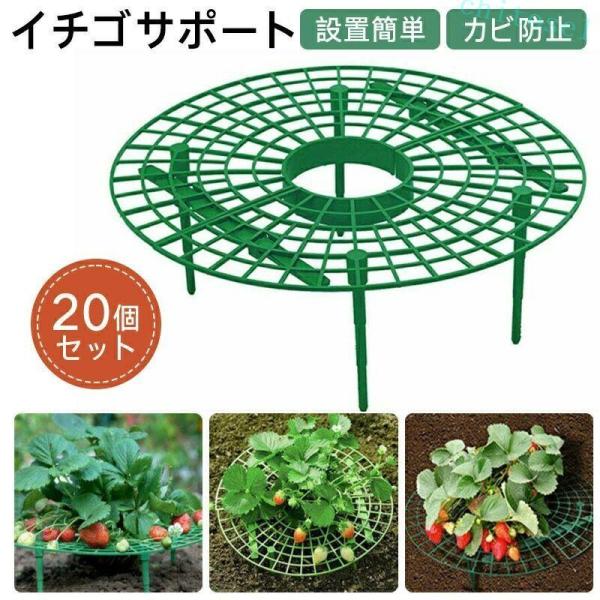 イチゴ棚 20個セット 支柱 イチゴサポート ストロベリーサポート イチゴ誘引 いちご植え支柱 円形 軽量樹脂製 設置簡単 苺苗棚 栽培棚 支え棚 園芸支柱 野菜 フラワースタンド 園芸ラック 野菜スタンド サポート棚 カビ 腐敗 害虫対策...