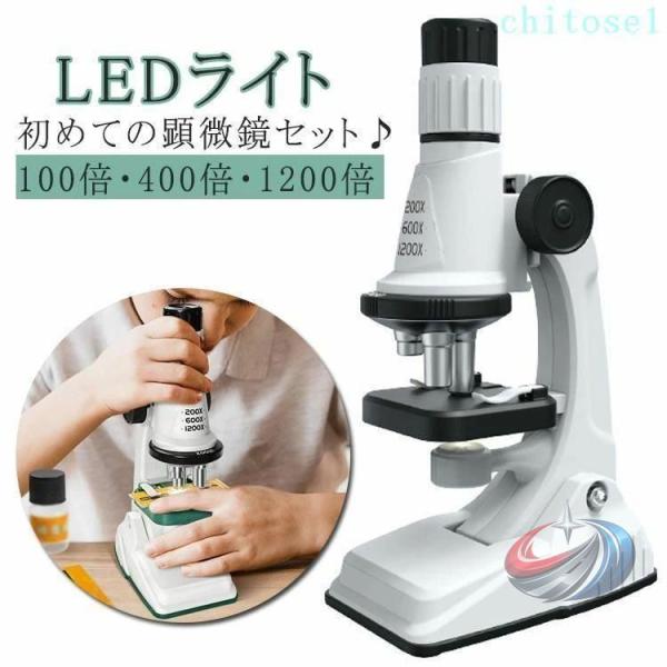 初めての顕微鏡セット? 100倍?400倍?1200倍 普段目にしている植物や動物、昆虫も顕微鏡のミクロの目でのぞいてみれば、新しい発見がいっぱい。 倍率は200倍、600倍、1200倍です。植物の細胞や花粉、昆虫の羽などの標本観察に適して...