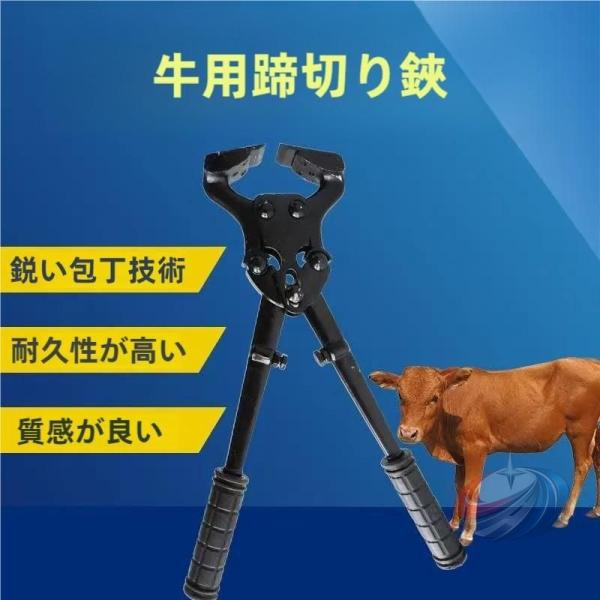 【ホースシュープライヤー】主に有蹄動物の足を整えてきれいにするために使用されます。テコの原理を採用しているため、切りやすく、省力化が図れます。【ハンドルデザイン】ハンドルは人間工学に基づいて設計されており、省力、快適、持ちやすく使いやすいで...
