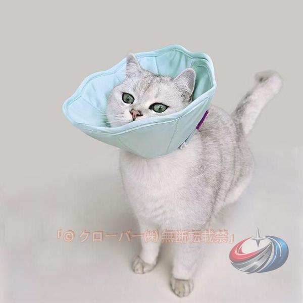 【多機能】犬?猫の皮膚病、避妊?去勢手術、かゆみ、赤みや手術の回復過程等で、傷口を舐めたり、噛んだりする行為を防ぐ機能に加え、爪切りや入浴の際などにもご活用頂けます。検索ワード：ソフト 軽量 猫 術後ケア 傷舐め防止 引っ掻き防止 爪切り ...