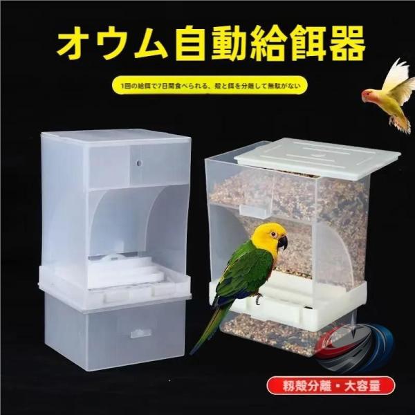 バードフィーダー 鳥 餌入れ 水入れ 自動 小鳥 餌台 食器 インコオウム えさ入れ えさいれ 鳥の餌台 500gの大容量 大容量で、フードがたっぷり入ります。残量も一目で分かるクリアカラーで、長時間のお留守番も安心です。 自動補給で楽々 ...