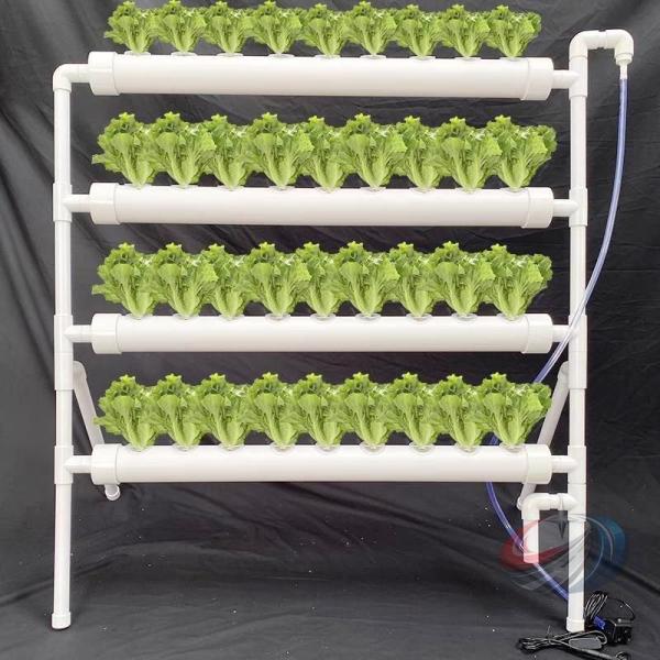 水耕栽培キット すいこう栽培キット いちご 野菜 栽培キット 室内 家庭菜園 水耕栽培セット プランター36穴 (36 穴)