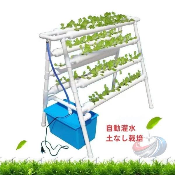 水耕栽培キット すいこう栽培キット いちご 野菜 栽培キット 室内 家庭菜園 水耕栽培セット プランター72穴 (72 穴)