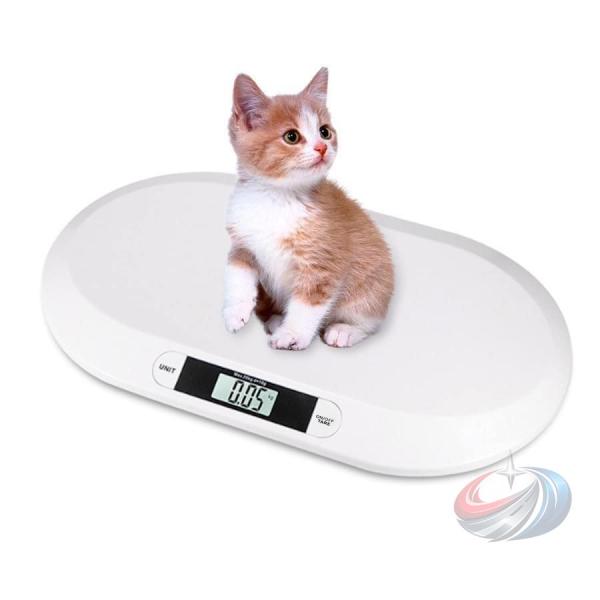 ペット 体重計 デジタル ペット体重計り 小型 電池式 薄型 小型犬 猫 ウサギ 体重管理 ペット用 スケール 計量 10g単位 20kg