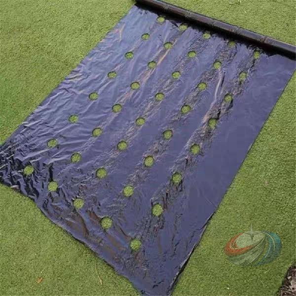 生分解性雑草防除マルチフィルム厚さ0.02MM、クラインガルテン用ベジパッチボーダーグランドカバー (Size : 0.95x20m