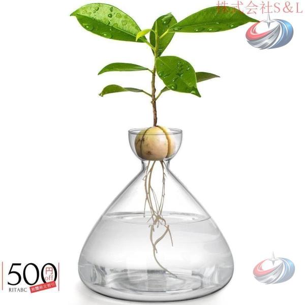 商品によっては発送までに2?3週間かかかることもございます。発送予定日をご了承の上、ご注文いただきますようお願いいたします。【商品概要】【プレミアム素材】: 当社のアボカドスターター花瓶は、厚みのある高ホウケイ酸ガラスでできており、透明で滑...