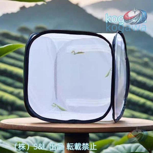 1.ケージは使用していないときに折り畳むことができ、スペースを占有しません。2.サイズ：A【30*30*30cm 】B【40 * 40 * 60 cm】 C【 60×60×90cm 】3.PVC面で爬虫類と蝶などの繁殖と飼育を観察しやすいで...