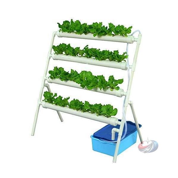 材質：この製品は、食品グレードのPVCパイプで作られています。壁の厚さ：2.0 mm、変形しにくく、耐腐食性、耐久性があり、美しいパイプの直径：63 mm、根が成長するのに十分なスペースを提供できます。注：水槽はありません. 水槽はご自身で...