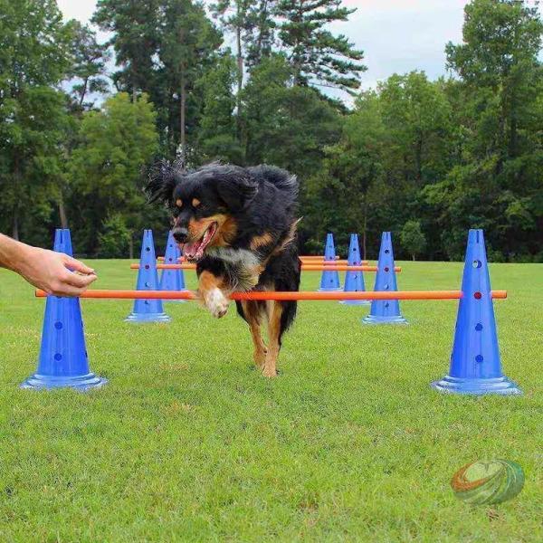 ドッグアジリティ トレーニング コーン ポール セット アジリティー 犬 ジャンプバー ハードル 犬用 ドッグ 障害物 柵 競技 競争 練習 ジャンプ