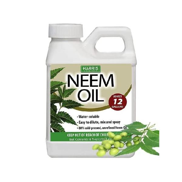 ご覧いただき誠にありがとうございます。海外倉庫に保管されている場合はお届けまでに通常2〜10営業日程お時間を頂いております。国内倉庫に保管されている場合は2〜3営業日で出荷いたします。■税関手続き、関税支払い等すべて当方で対応させていただい...