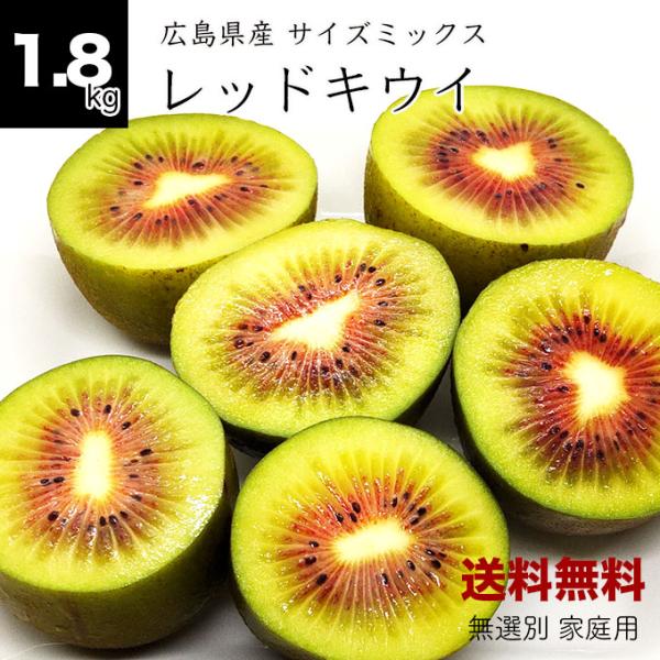 ●商品名・健ちゃんファームのレッドキウイ●内容量・約1.8kg(補償分２玉)●サイズ・ミックス●収穫時期・１０月末〜◯スタッフの感想◯とろけるような甘さ！グリーンのキウイとは別物の美味しさがあります。酸味が少なく甘みが強いので小さなお子様か...