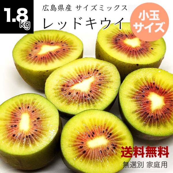 ●商品名・健ちゃんファームのレッドキウイ(小玉)●内容量・1.8kg(補償分3玉)●サイズ・ミックス（小玉）●収穫時期・１０月末〜◯スタッフの感想◯とろけるような甘さ！グリーンのキウイとは別物の美味しさがあります。酸味が少なく甘みが強いので...